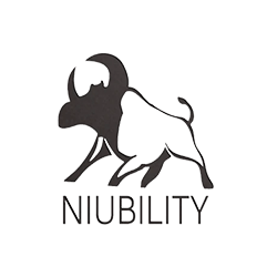 Niubility Archives - Infinity Electric Bikes